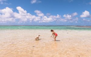 Full Guide to a Perfect Rarotonga Holiday in Cook Islands - Travel Monkey