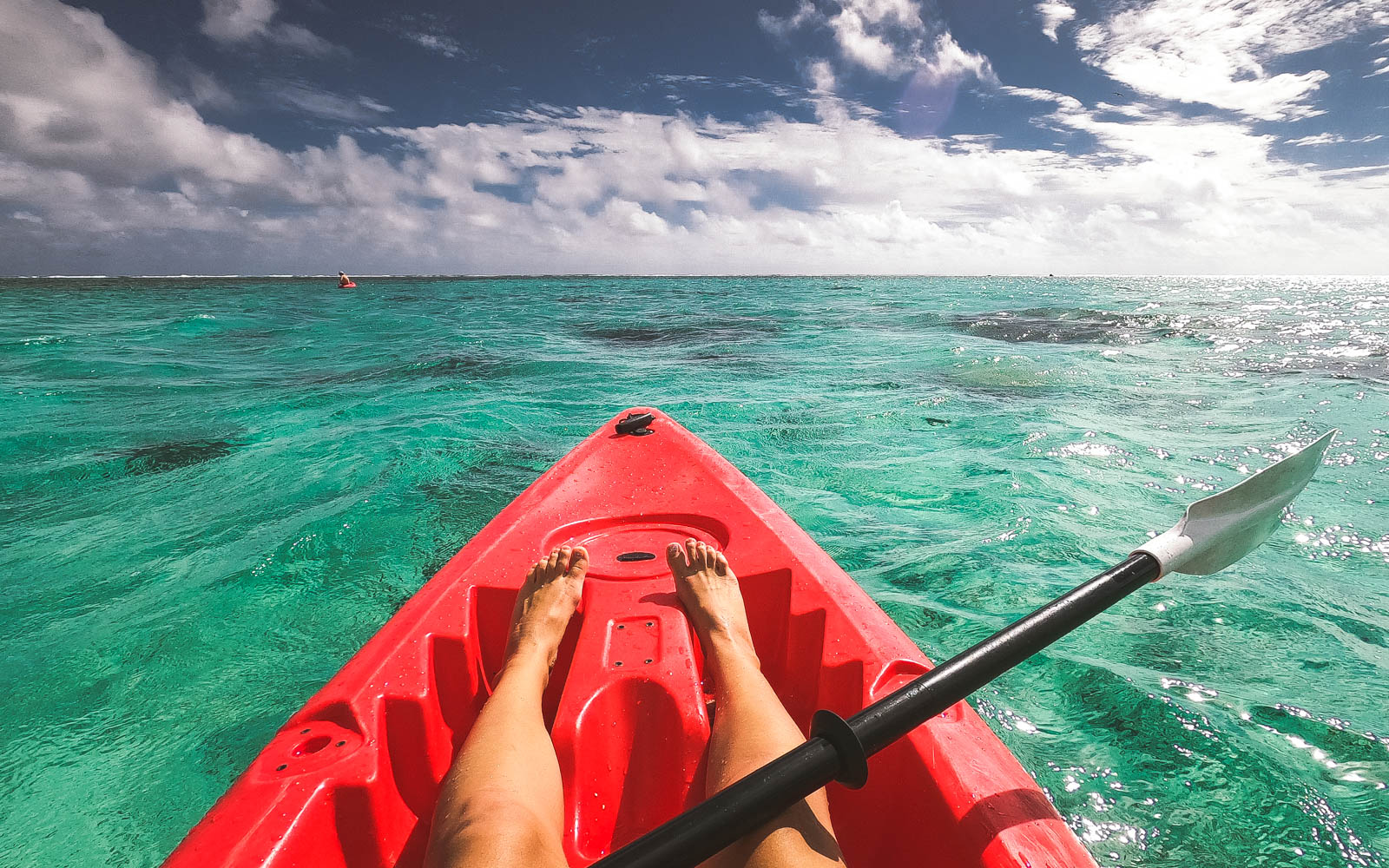 Full Guide to a Perfect Rarotonga Holiday in Cook Islands - Travel Monkey