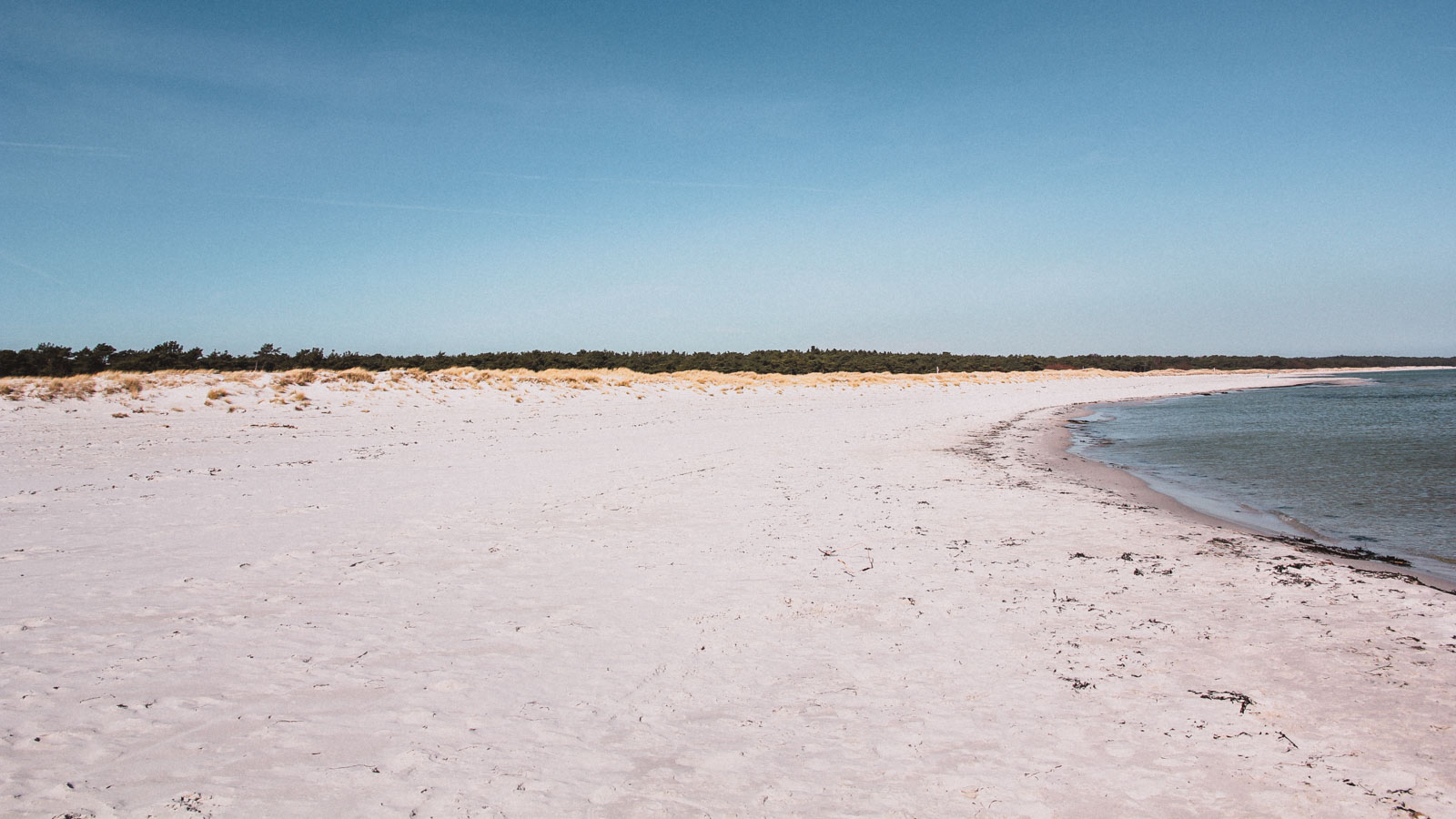 Best Places to Spend Summer in Denmark - Travel Monkey